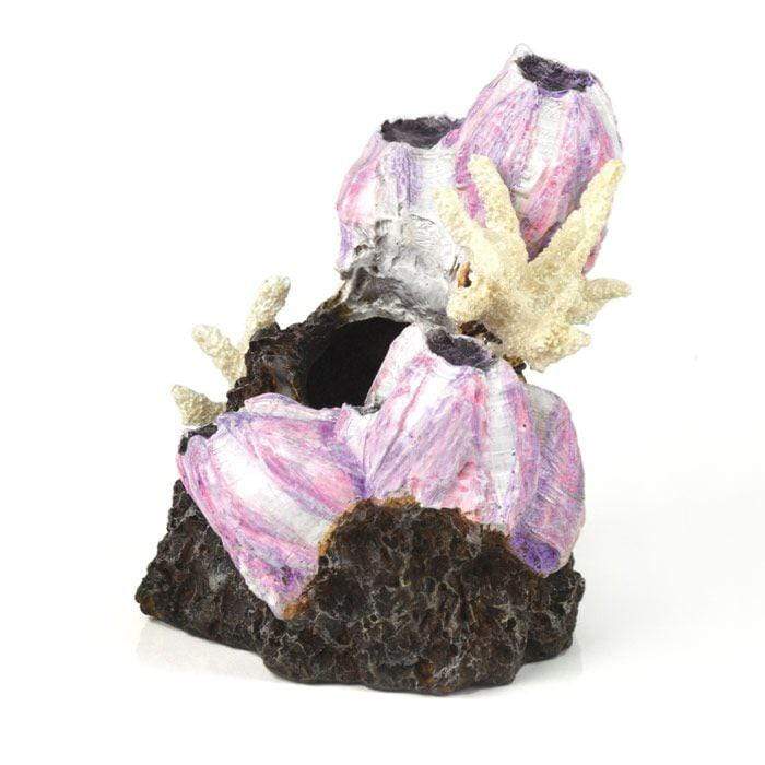 biOrb Small Pink Barnacle Ornament - Hand Crafted (46145) – Dream Fish ...
