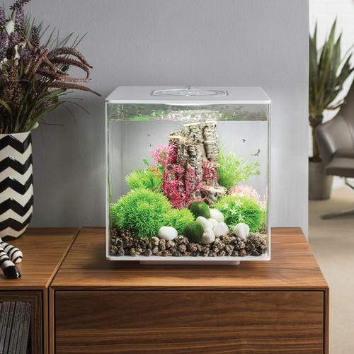 biOrb Cube 30L / 8 Gallon All-in-One Aquarium Kit w/ LED Light – Dream ...