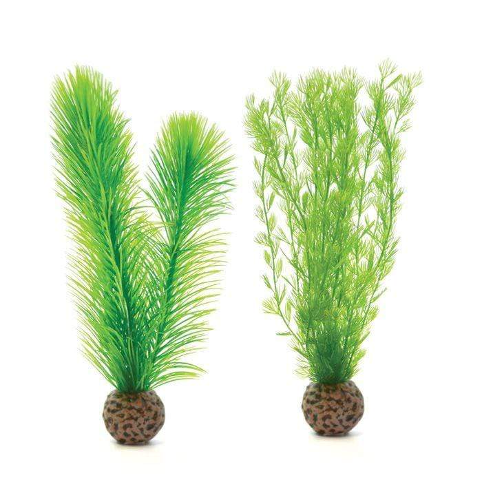 biOrb Plastic Feather Fern Aquarium Plant Set - Green – Dream Fish Tanks
