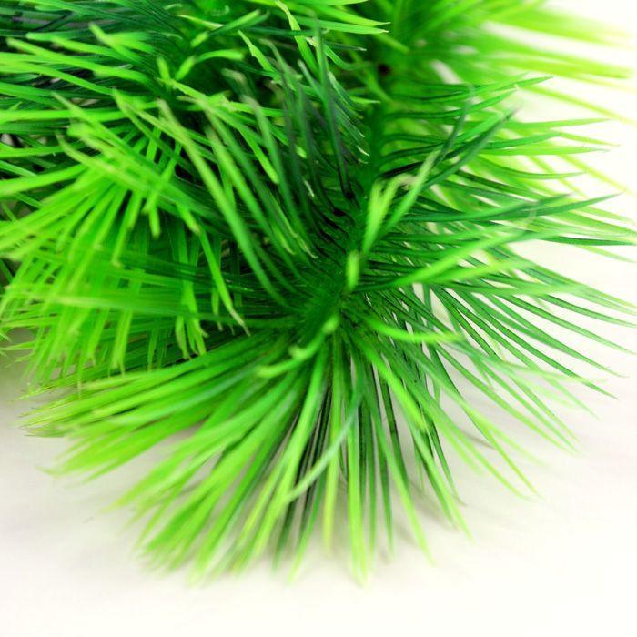biOrb Plastic Feather Fern Aquarium Plant Set - Green – Dream Fish Tanks