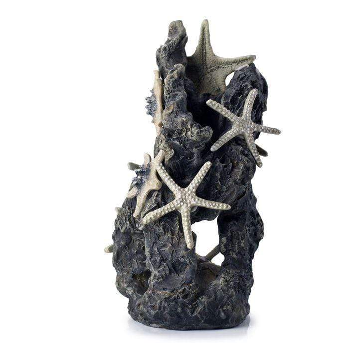 biOrb Sea Star Rock - Hand Crafted Aquarium Ornament – Dream Fish Tanks