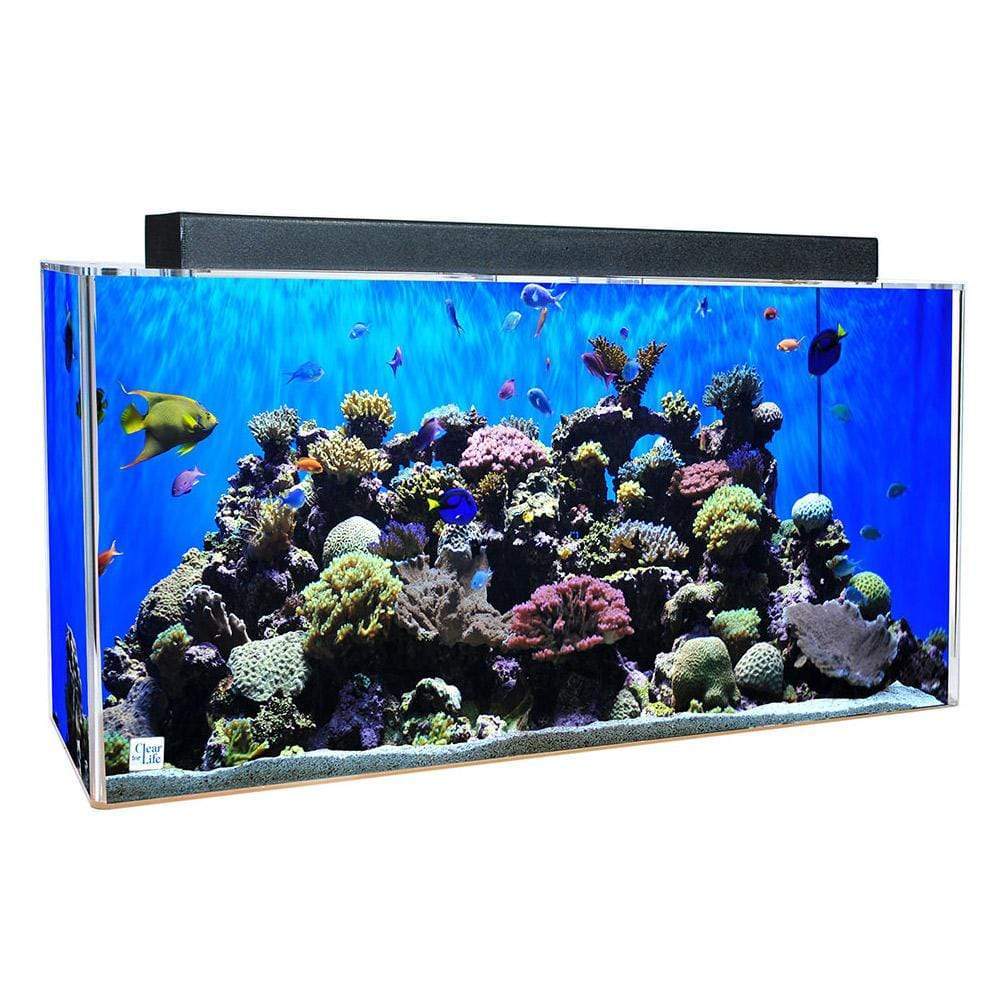 Clear for Life Rectangle 40 Gallon Acrylic Aquarium - Fresh or Saltwat ...