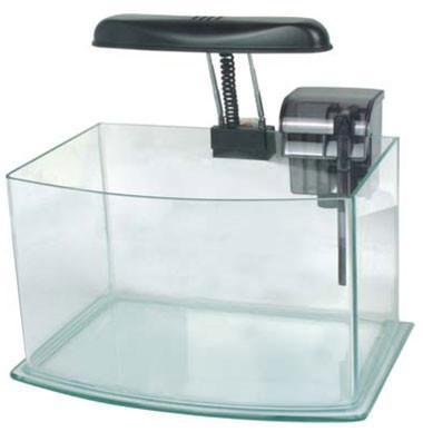 JBJ 3 Gallon PicoTope - Fresh or Saltwater Curved Glass Aquarium (MX-3 ...
